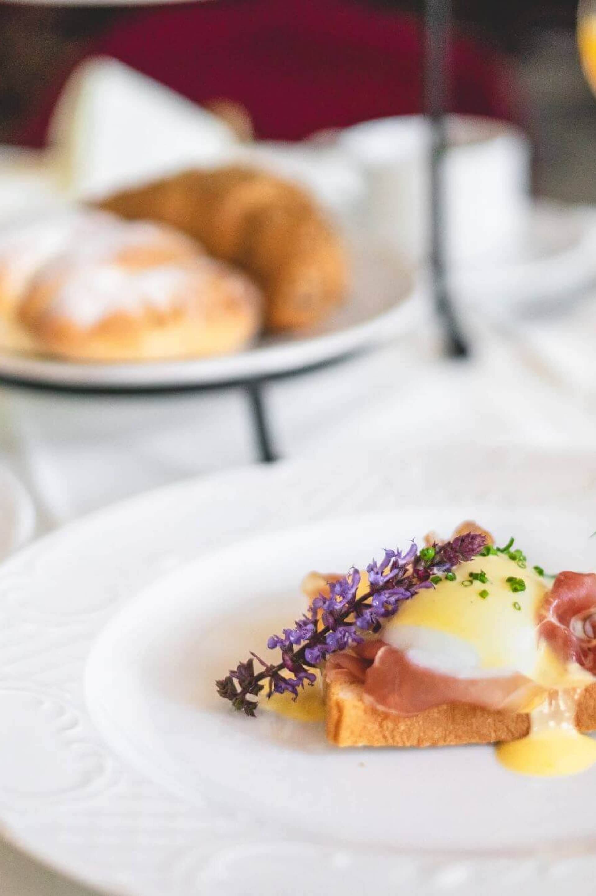 Company contact - Brunch Selection